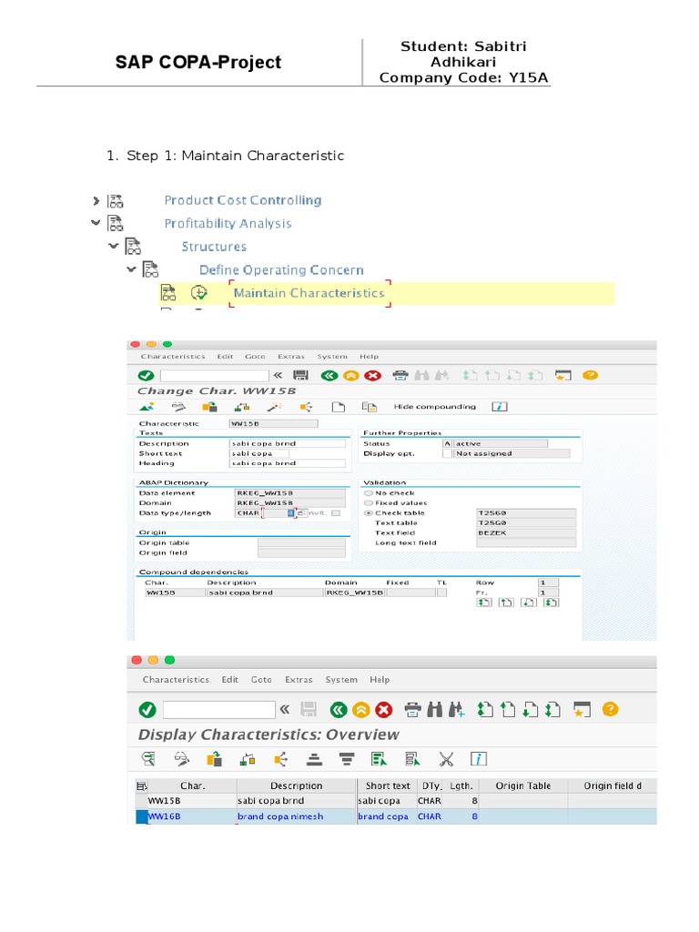 SAP COPA-Project: 1. Step 1: Maintain Characteristic | Download Free ...