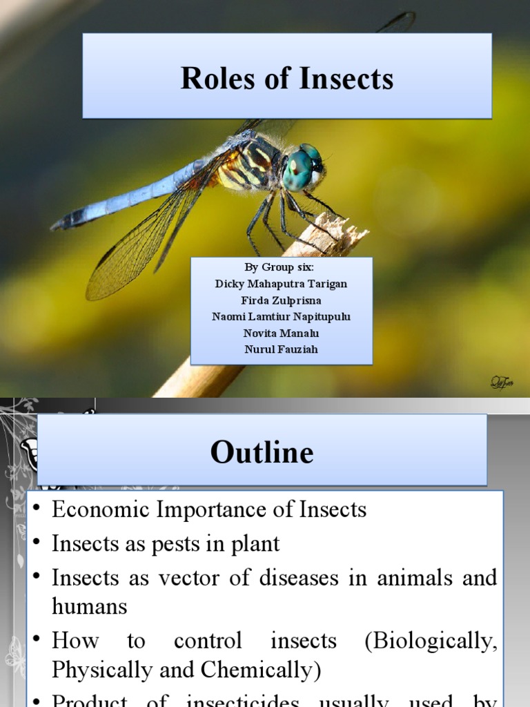 Roles of Insects For Human | PDF | Insects | Wasp
