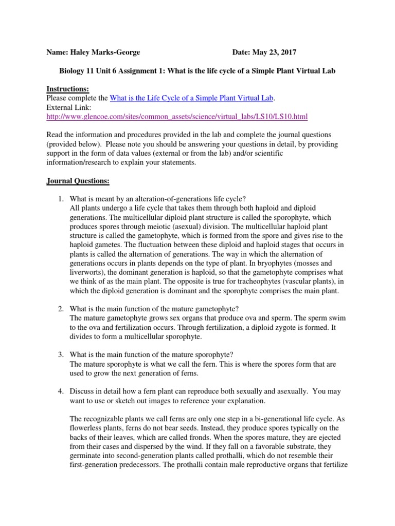 HMG Biology 11 Unit 6 Assignment 1 What Is The Life Cycle of A Simple ...