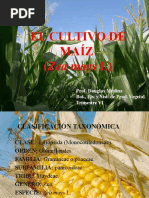 Partes de La Planta Del Maiz | PDF | Hogar, jardinería y bricolaje ...