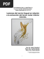 Triangulo de Farabeuf | PDF | Anatomía humana | Cabeza y cuello humanos
