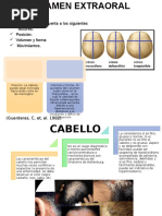 Tipos de Forceps y Elevadores | PDF | Odontología | Boca