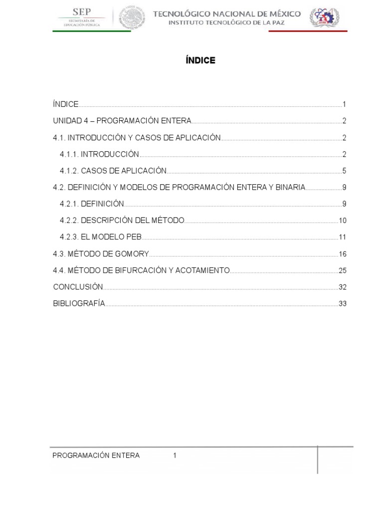 Proyecto Io Programacion Entera | PDF | Programación lineal | Conceptos ...