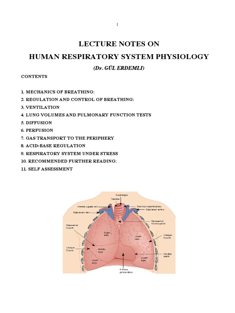 Lecture Notes On Respiratory Physiology Pdf Pdf Lung Respiratory