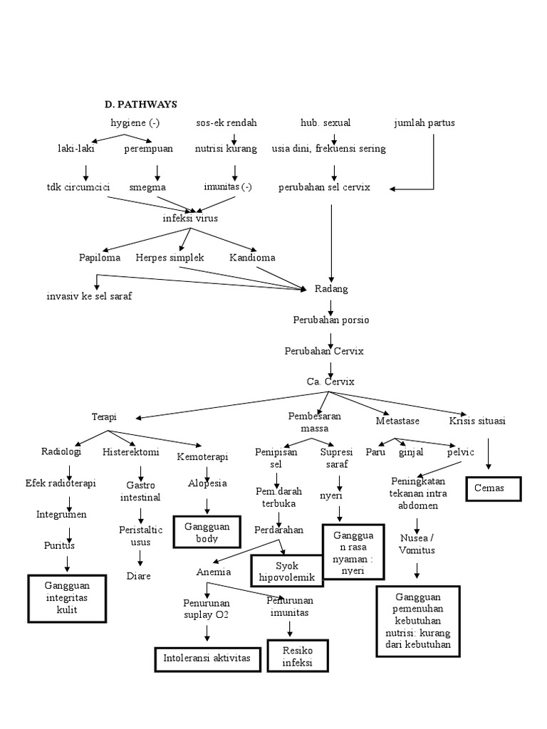 Pathway CA Serviks | PDF