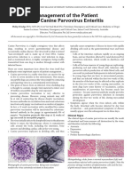 Checklist PEG Tube Feeding | PDF | Medicine | Health Sciences