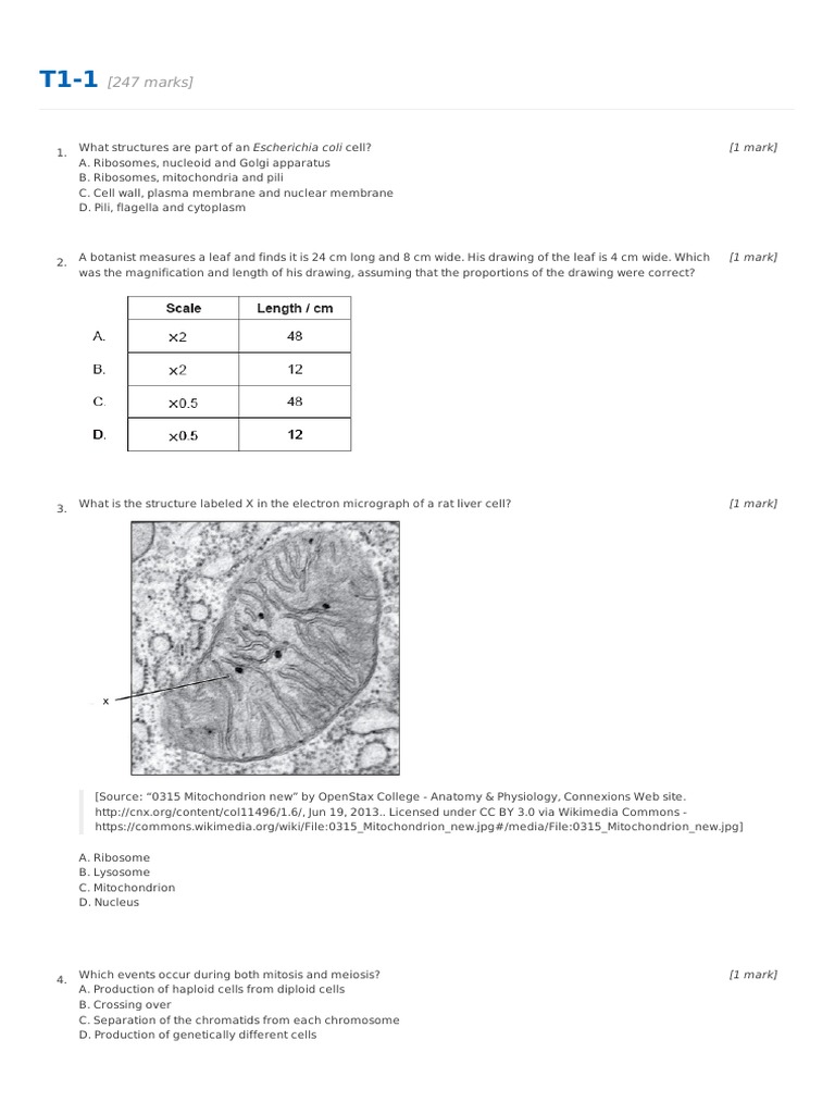 T1-1 T IB Biology Topic 1 Question Bank | PDF | Cell (Biology) | Eukaryotes