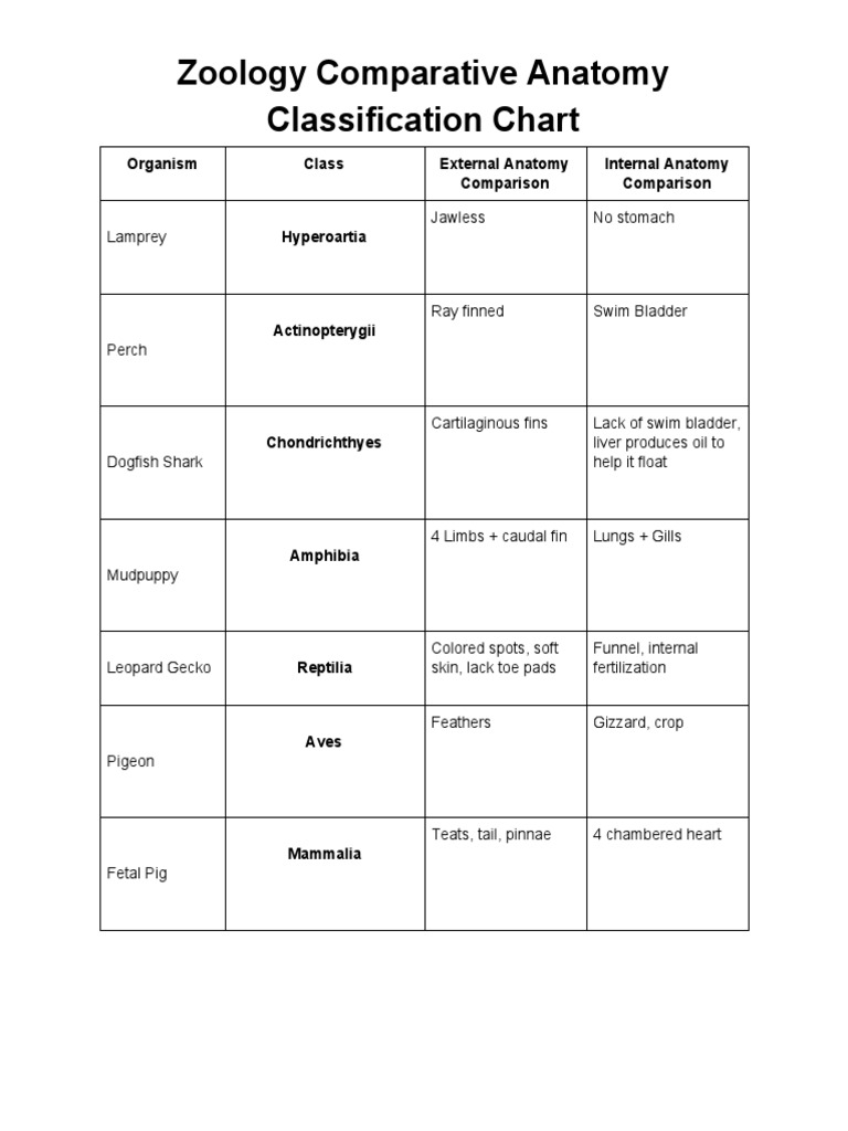 Zoology Anatomy Comparison Chart | PDF