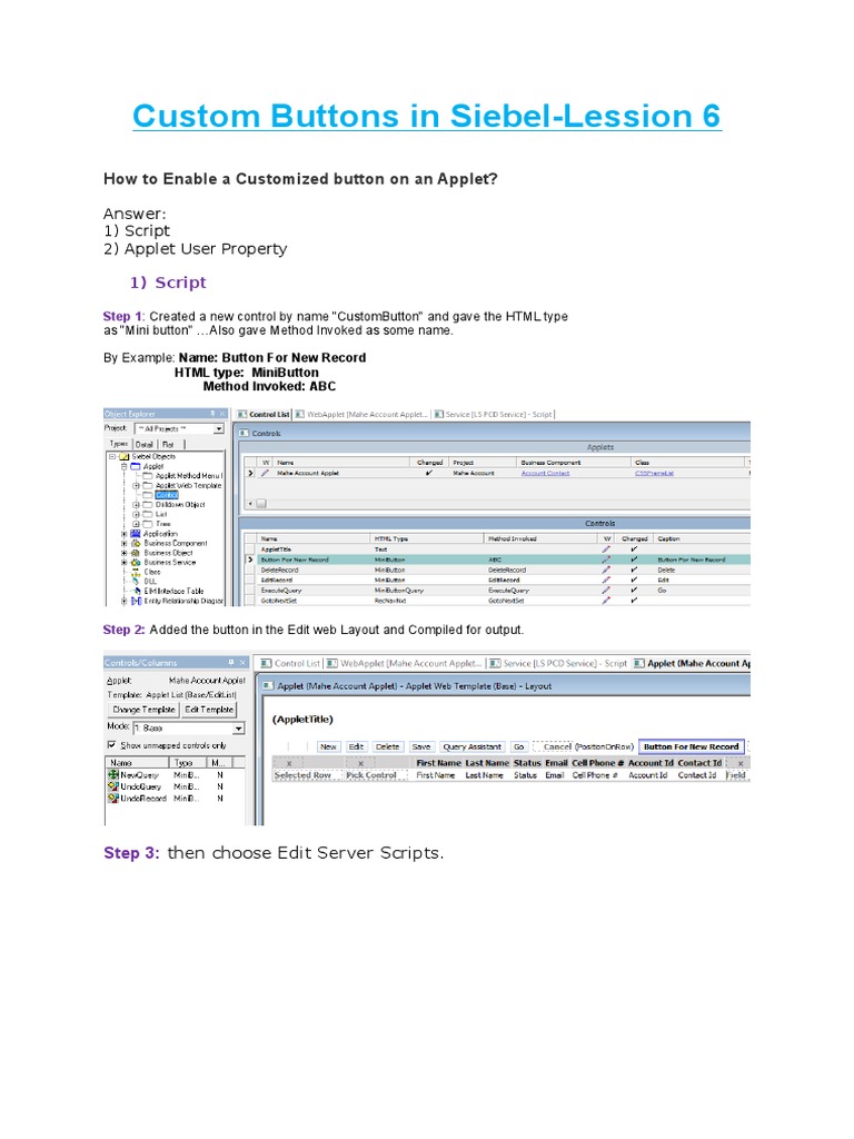 Lesson 6 Enable A Customized Button | PDF