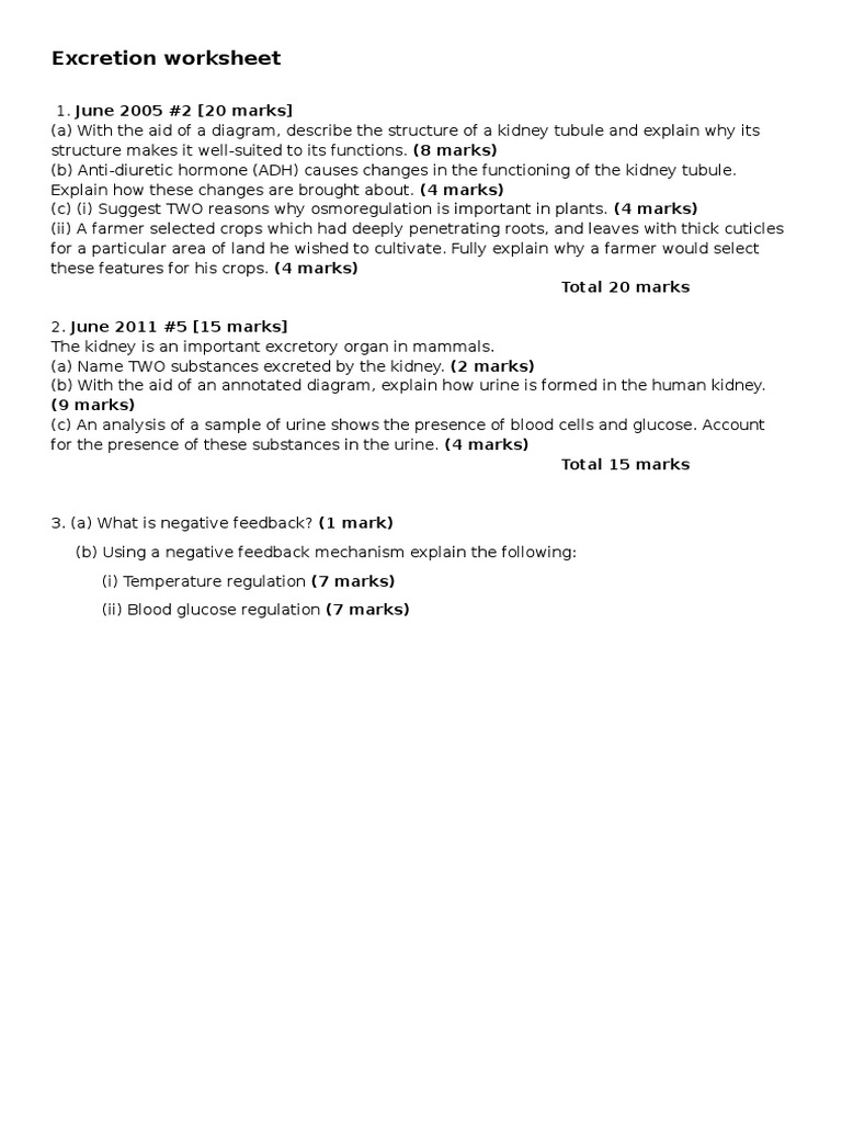 Excretion and Homeostasis Worksheet | PDF