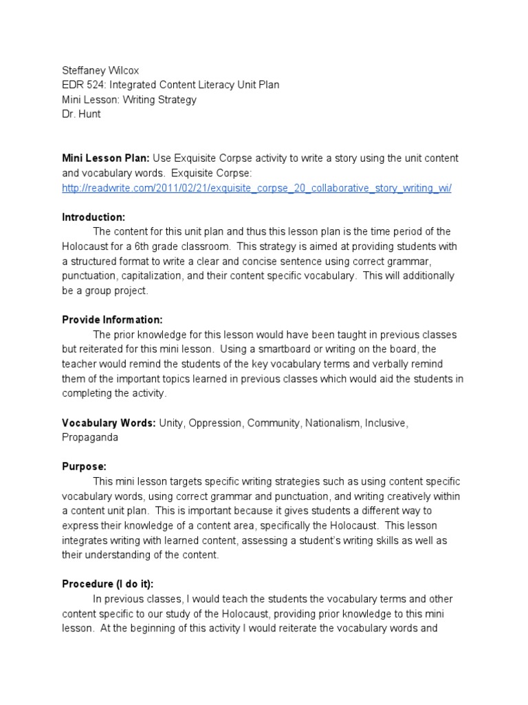 Literacy Mini Lesson | Download Free PDF | Vocabulary | Lesson Plan