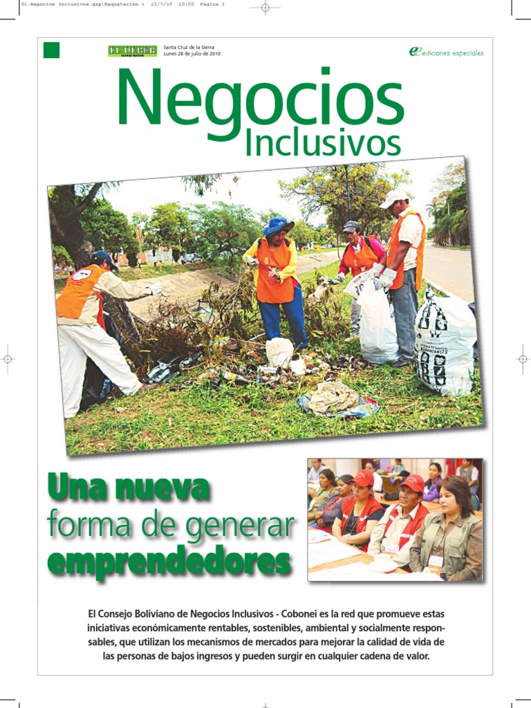 Negocios Inclusivos Edición Especial | PDF