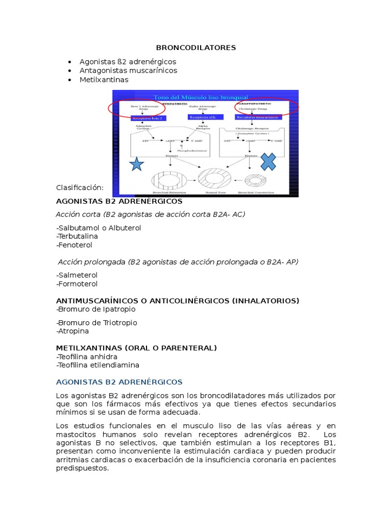BRONCODILATADORES | PDF | Drogas | Farmacología