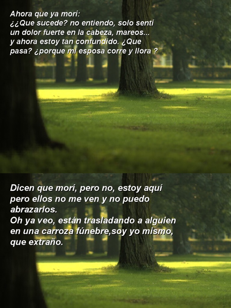 Ahora Que Morí | PDF | Ocio | Entretenimiento (general)