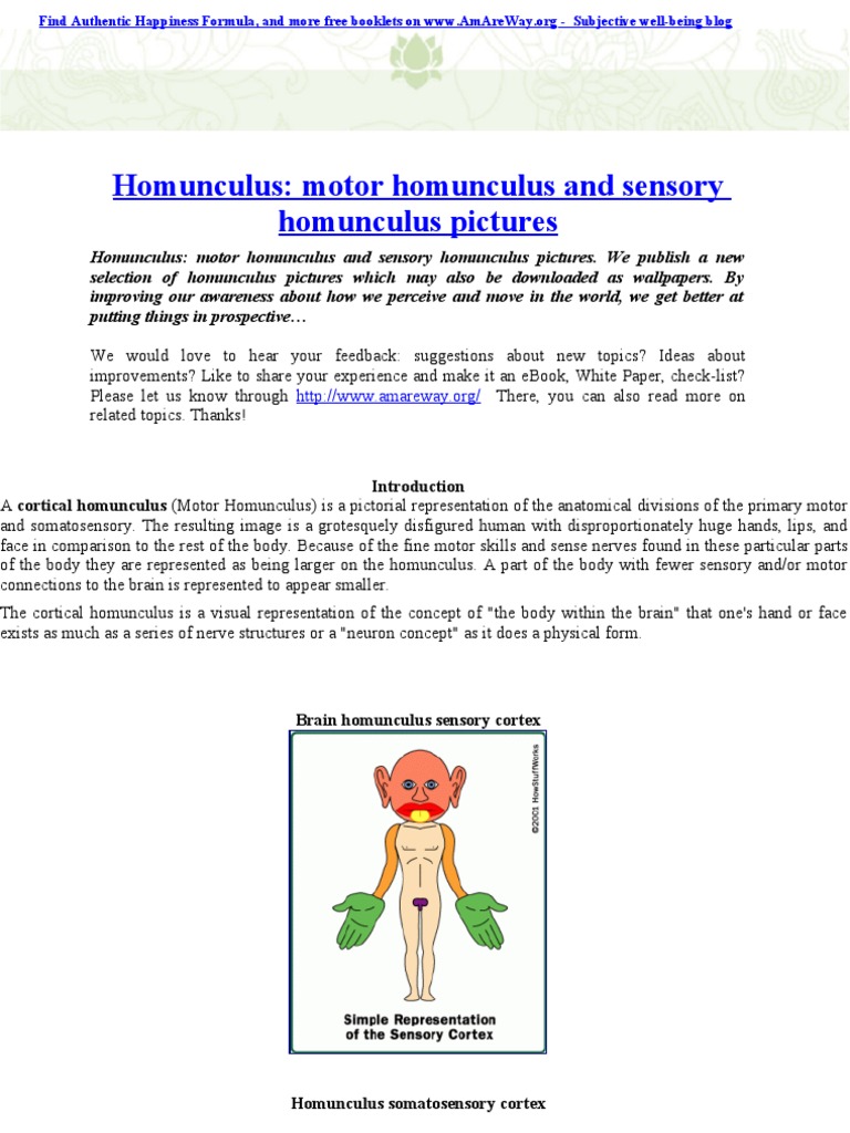 Homunculus: Motor Homunculus and Sensory Homunculus Pictures | PDF ...