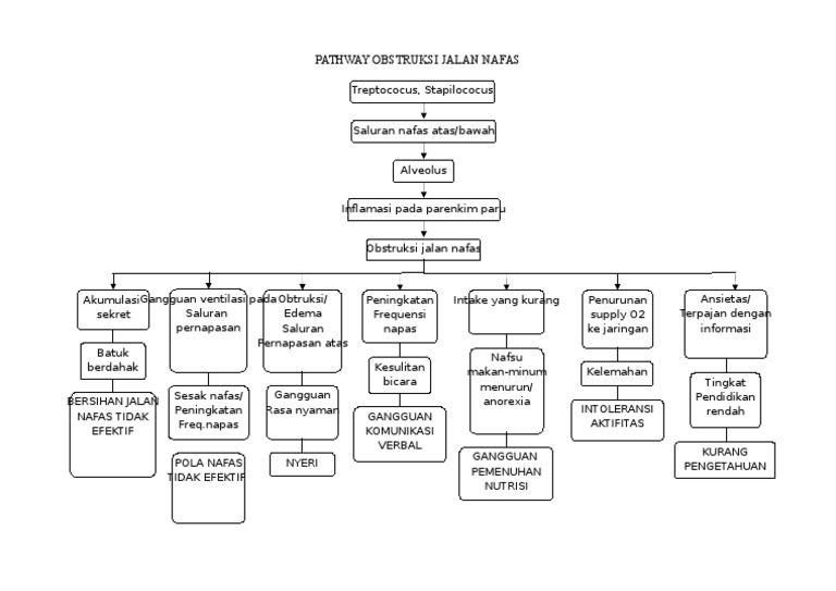 Pathway Obstruksi Jalan Nafas Anak | PDF