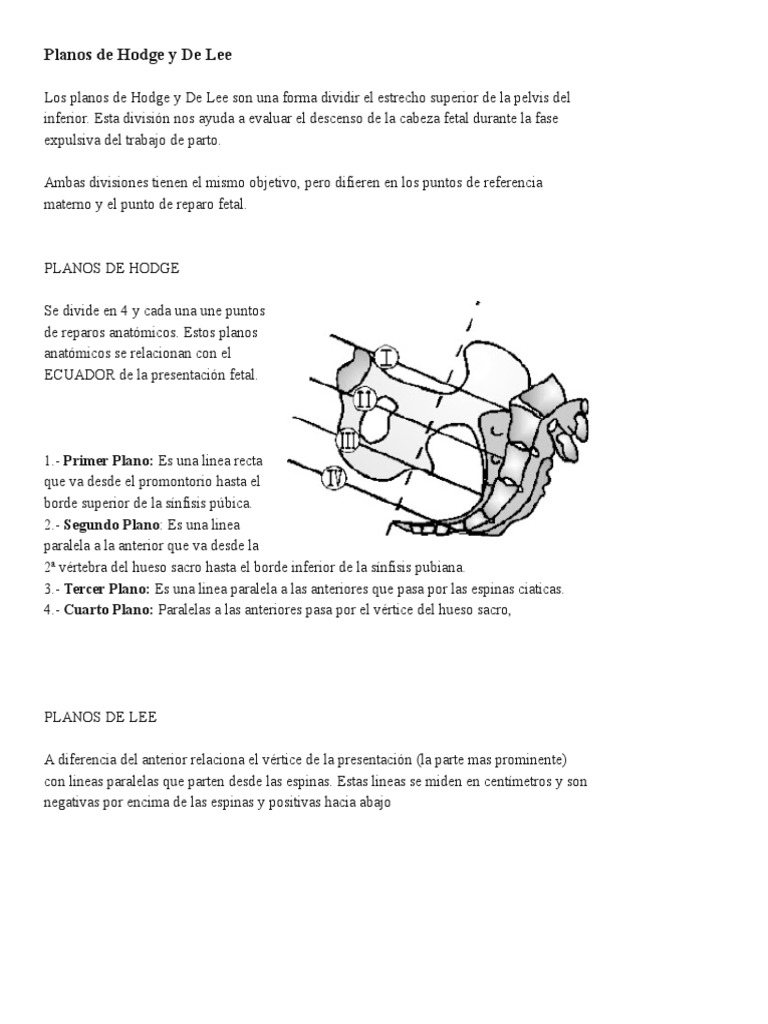 Ginecologia y Obstetricia - Planos de Hodge y de Lee | PDF