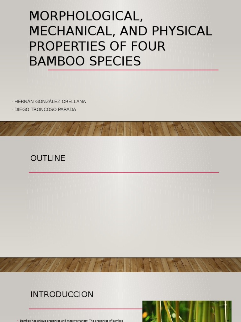 Morphological, Mechanical, and Physical Properties of Four Bamboo ...