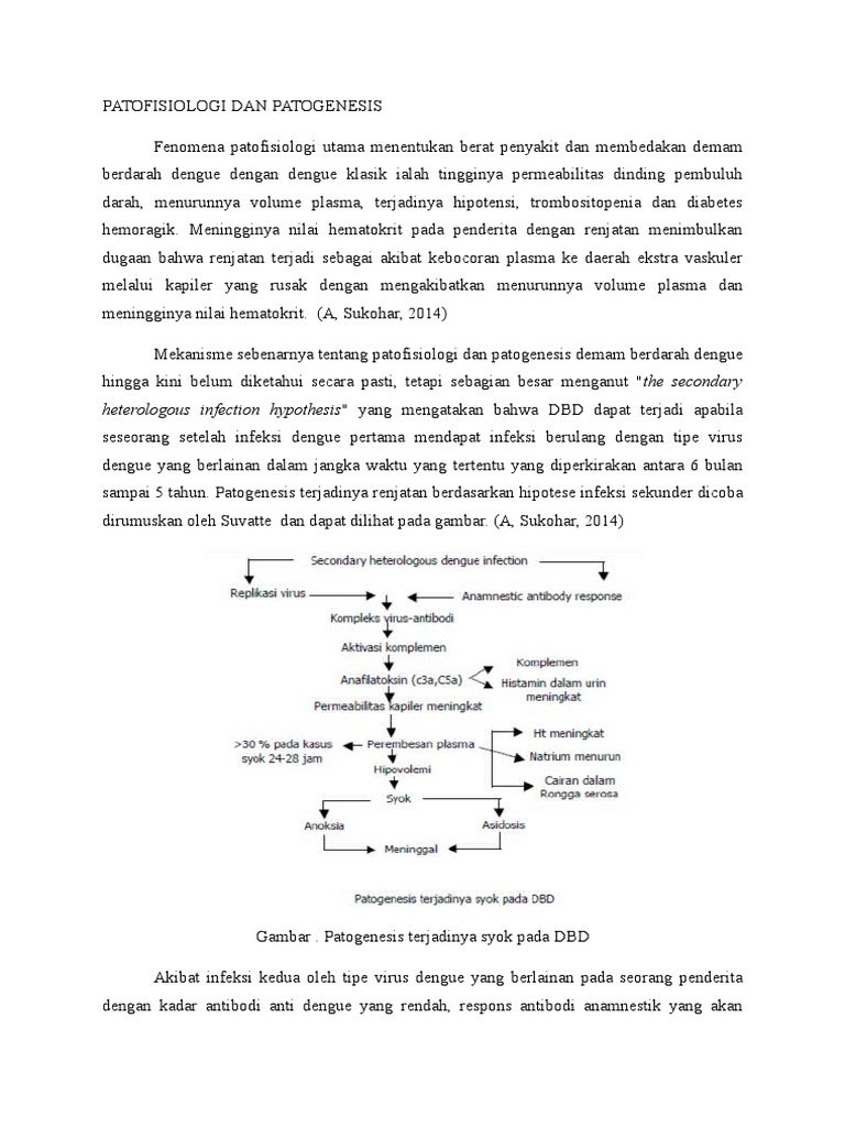 Patofisiologi dan Patogenesis DBD | PDF | Pengembangan Diri | Kesehatan ...