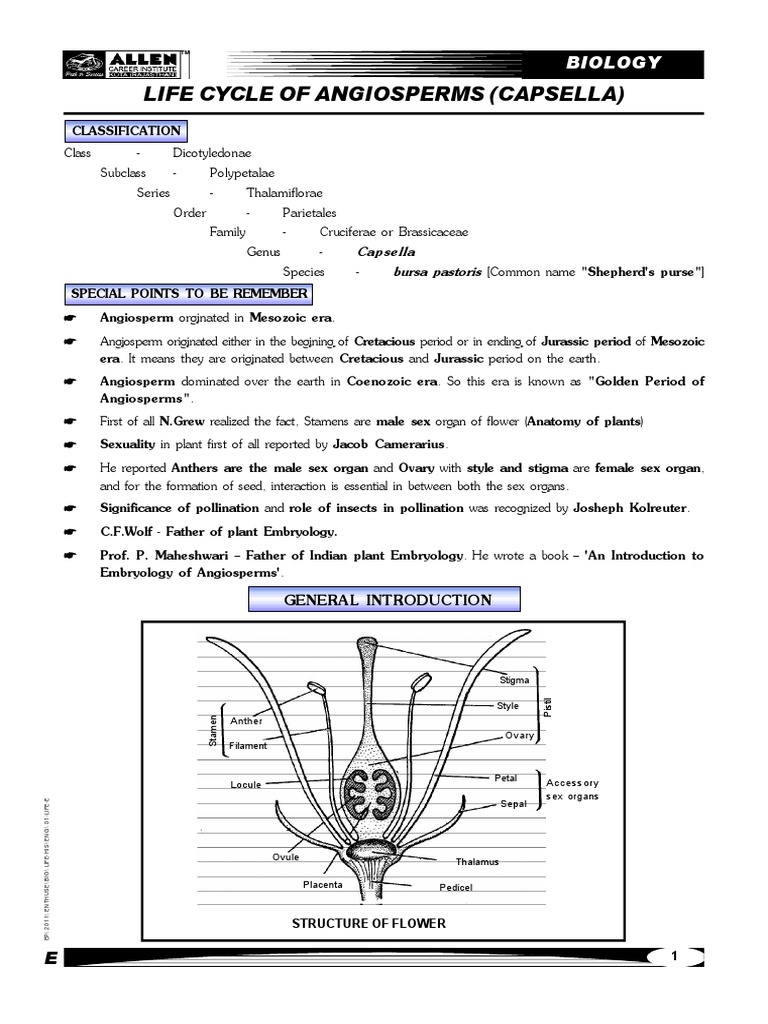 Life History of Angiosperm | PDF | Pollen | Horticultural Techniques