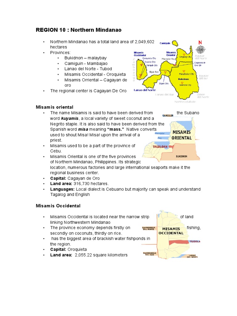 Region 10 Compilation | PDF | Mindanao | Food And Drink
