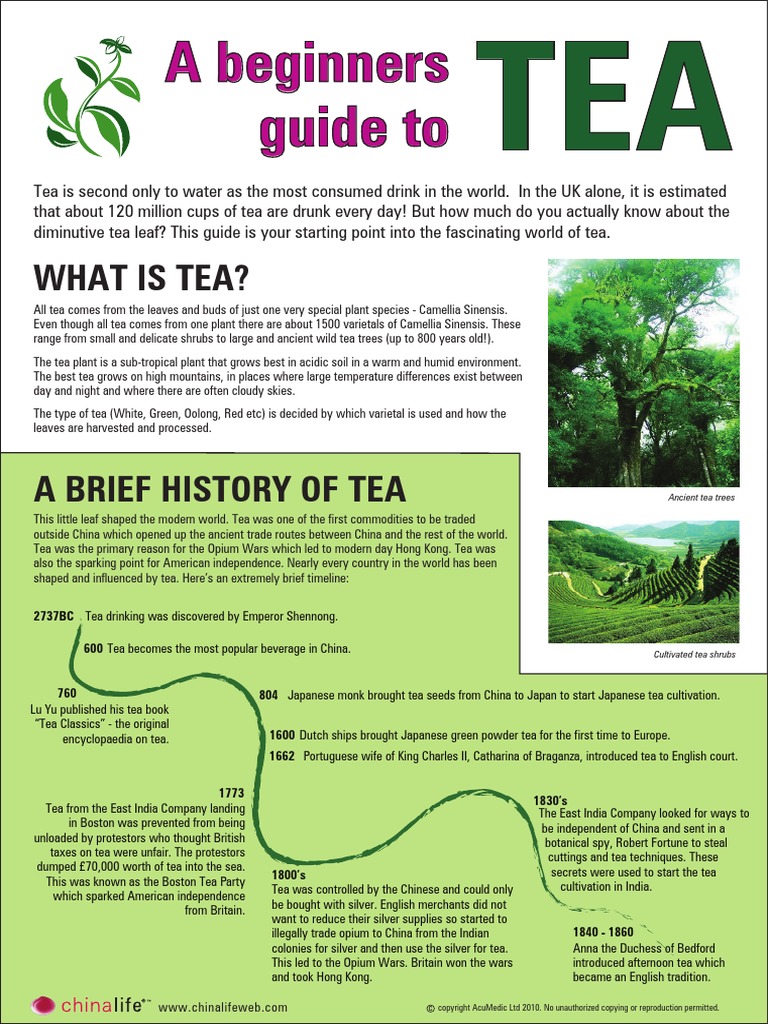 A Beginners Guide To: What Is Tea? | PDF