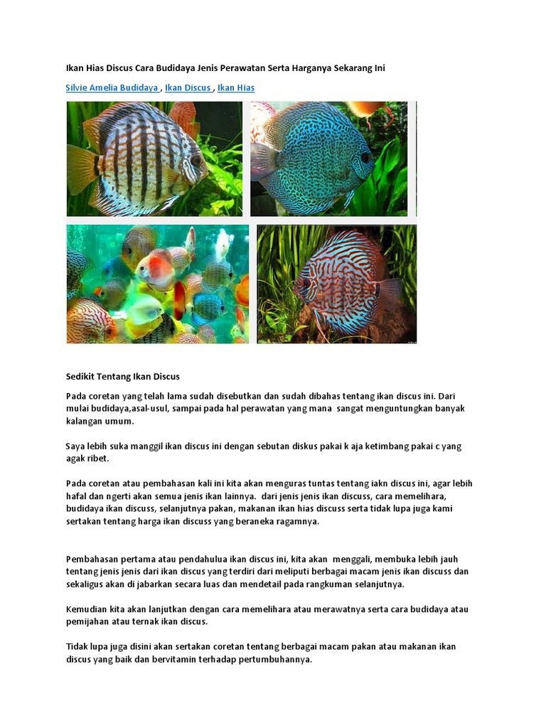 Panduan Budidaya dan Perawatan Ikan Discus | PDF