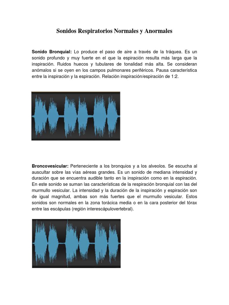Sonidos Respiratorios | Enfermedades respiratorias | Neumología