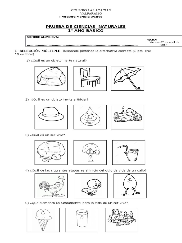 Prueba de Ciencias Naturales 1 - Basico SERES VIVOS | PDF