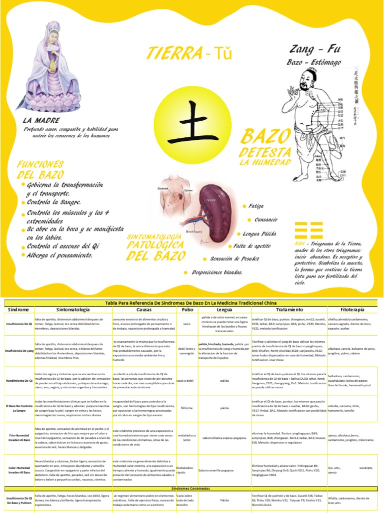 Tabla de Bazo | PDF | Heces | Fisiologia Animal