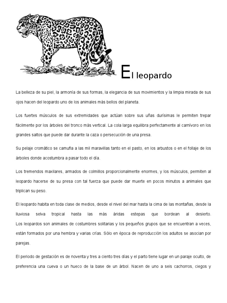 Características del leopardo para niños | PDF
