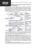 Mapa Conceptual el Estilo Wal-Mart | PDF