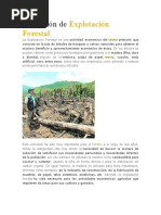 Definicion Vegetación Riparia | PDF | Zona ribereña | Inundar