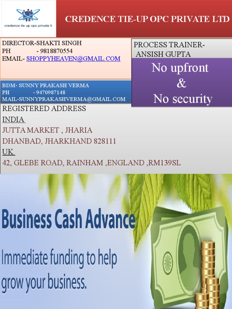 Mca Campaign | PDF