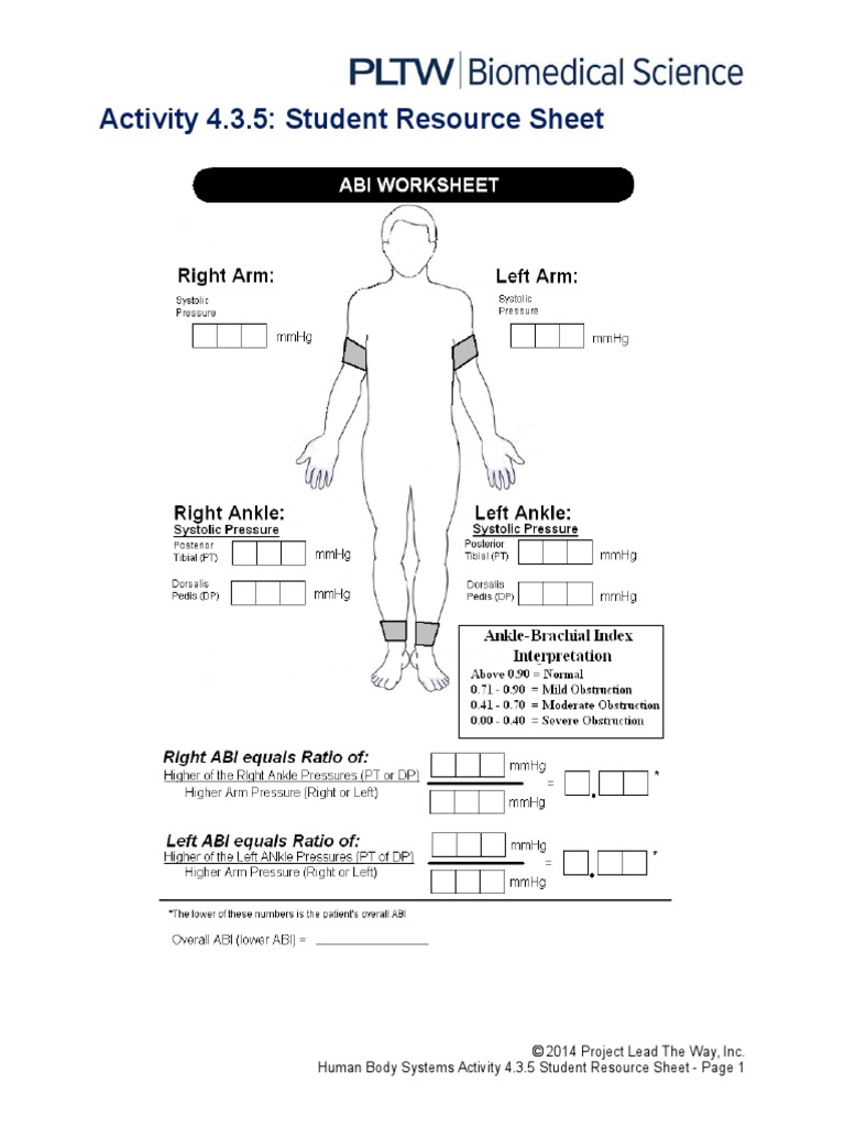 4 3 5 A SR Abi Worksheet | PDF