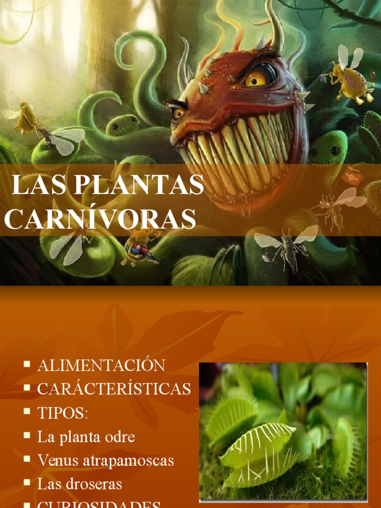 Carnivoras | PDF | Hogar, jardinería y bricolaje | Ciencia y matemáticas