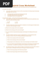 Genetics Packet Answer Key | PDF | Dominance (Genetics) | Genotype