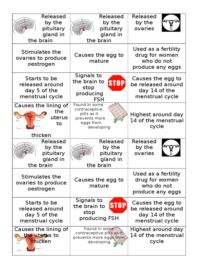 Menstrual Cycle Card Sort | PDF | Menstrual Cycle | Ovary