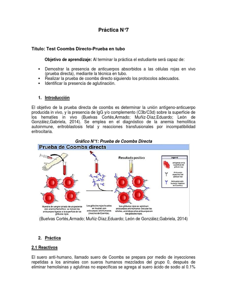 Coombs directo | Sangre | Inmunología