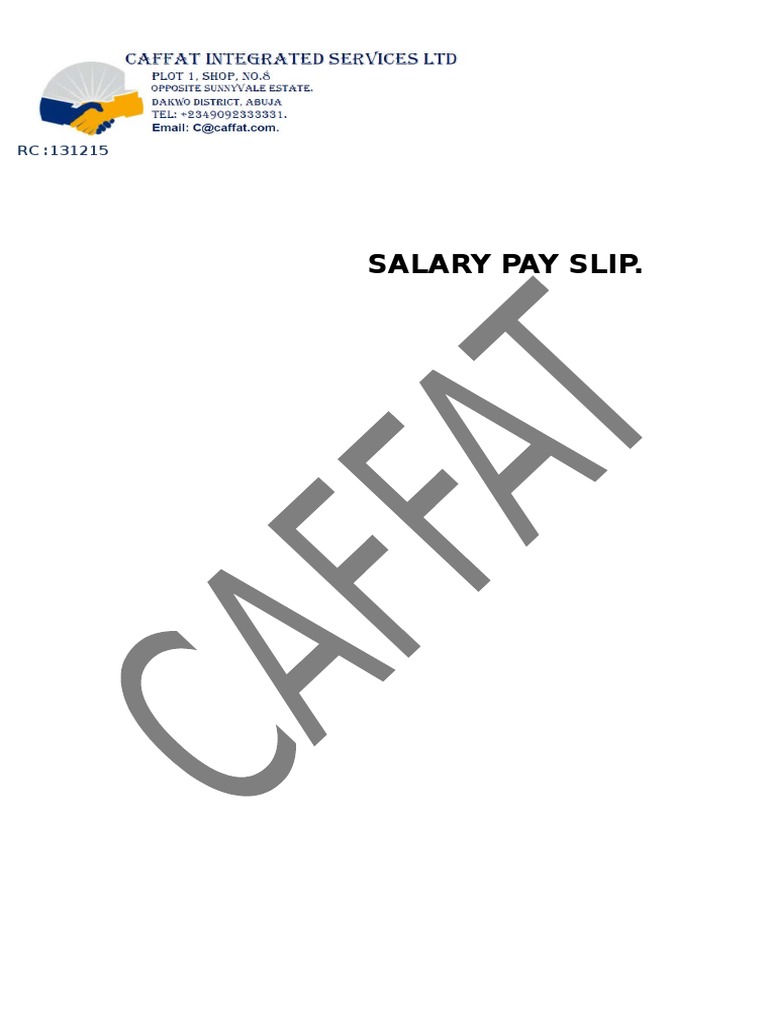 Pay Slip | PDF