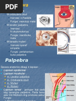 Lagoftalmus: Penyebab, Gejala, dan Pengobatan | PDF
