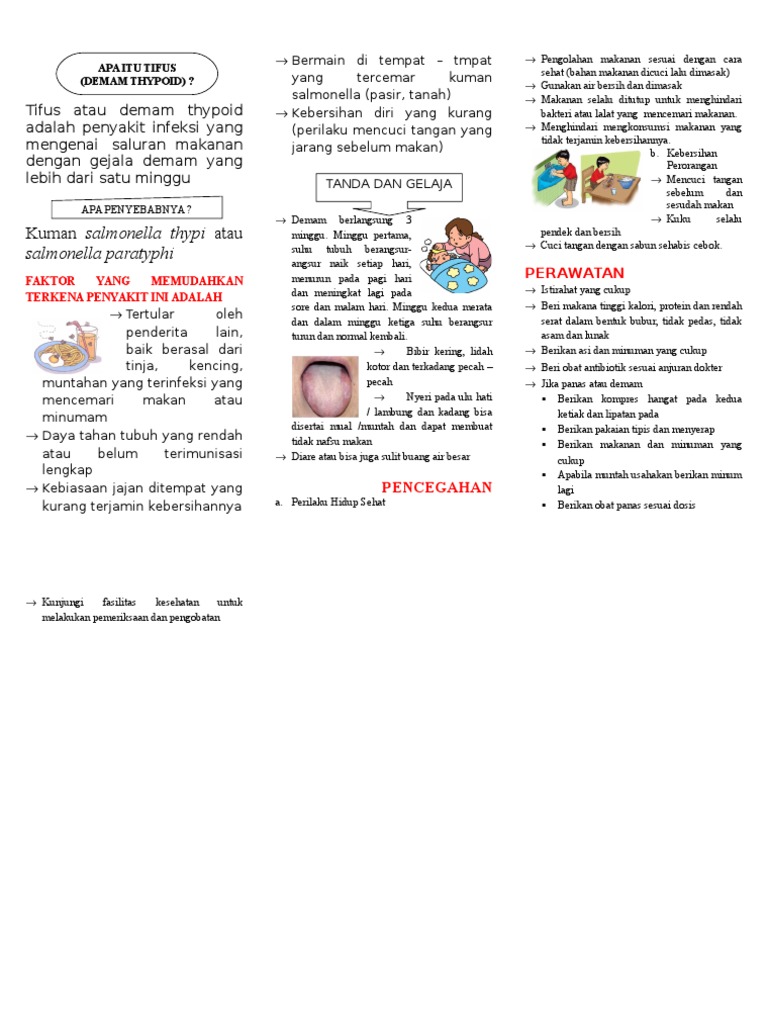 Leaflet Demam Typhoid | PDF