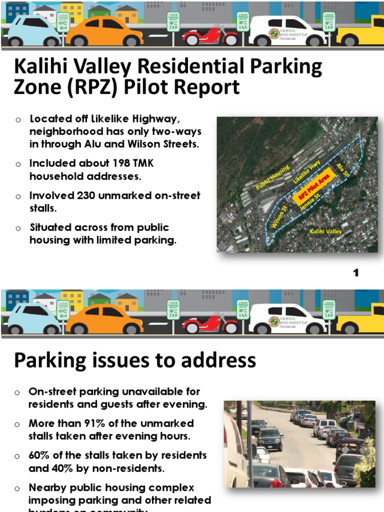 RPZ Pilot Report | PDF | Government | Transport