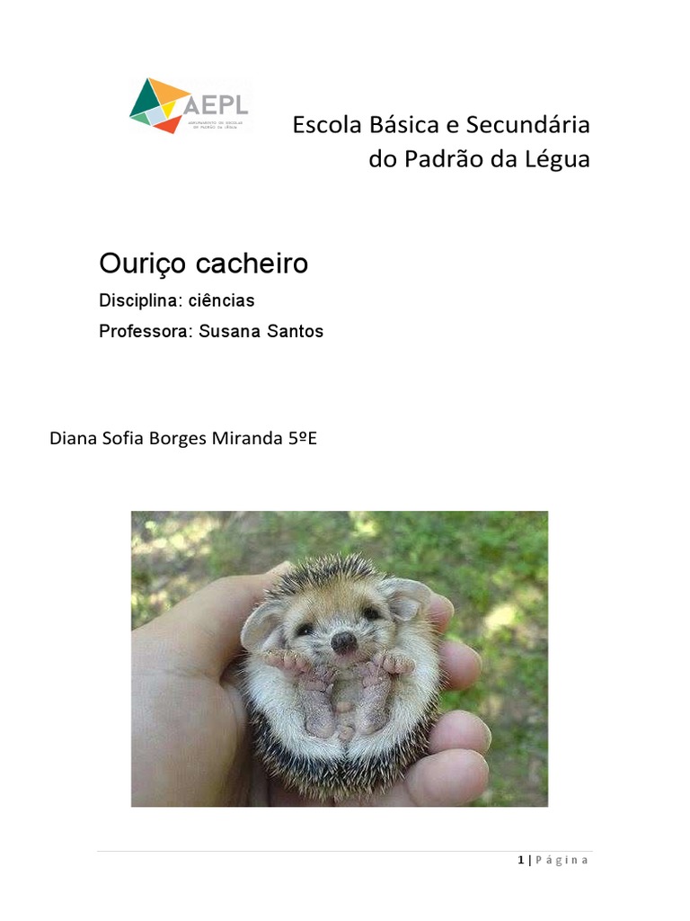 Ouriço Cacheiro.pdf | Natureza