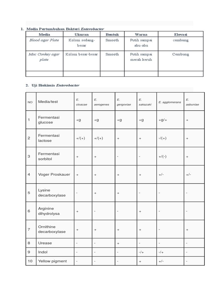 Tabel Uji Biokimia Kel 07 | PDF