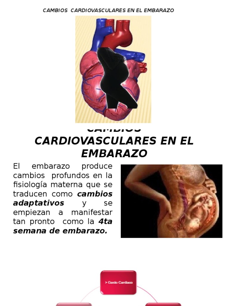 Cambios Cardiovasculares en El Embarazo 22 | PDF | El embarazo ...