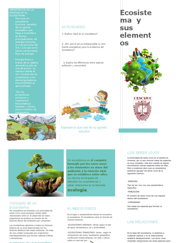 Ecosistema y Sus Elementos Triptico | Descargar gratis PDF | Ecosistema | Organismos