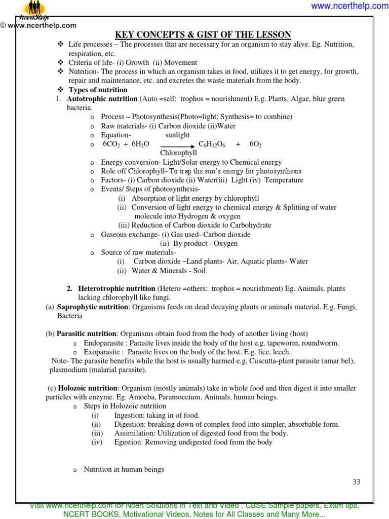 Class10 Science Notes Chapter6 PDF | PDF | Respiratory System | Atrium ...