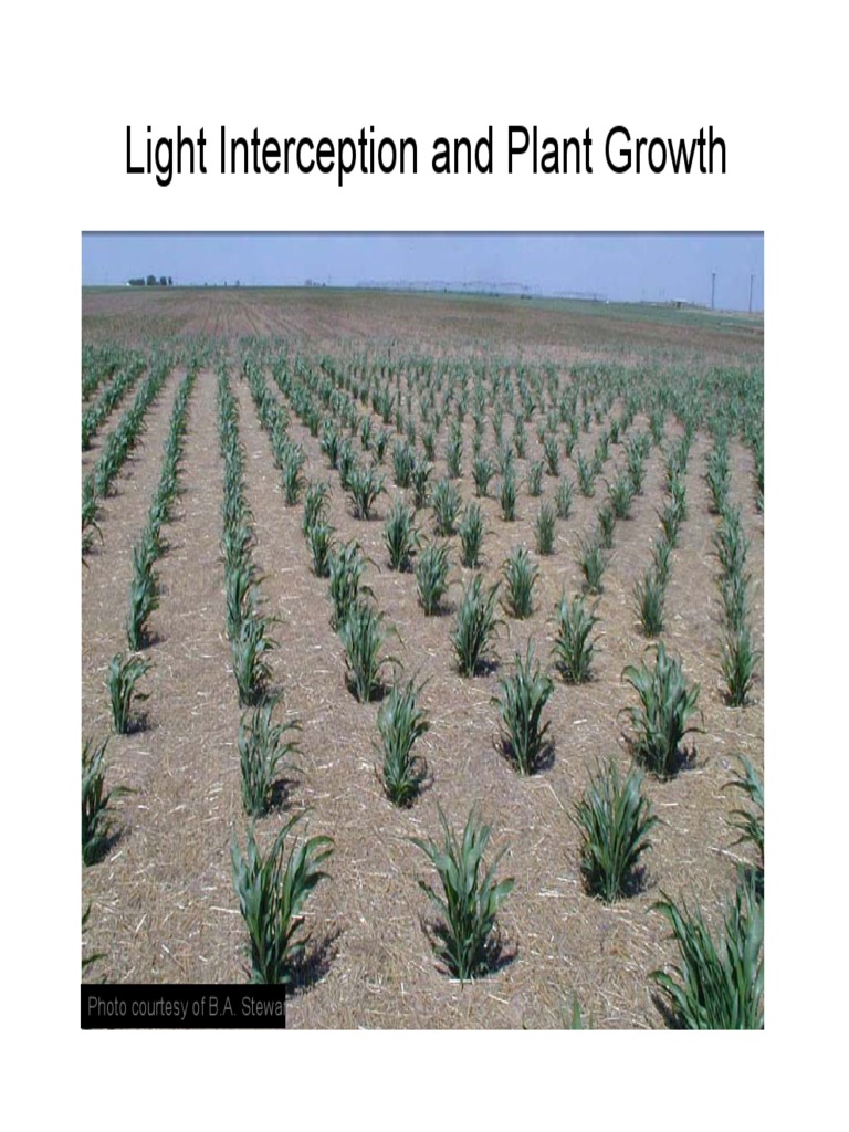 Light Interception and Plant Growth: Photo Courtesy of B.A. Stewart ...