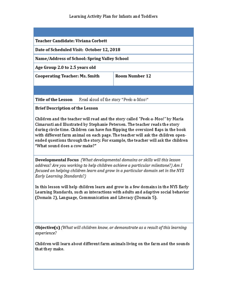 Lesson Plan 1 Curriculum | PDF | Education Theory | Learning